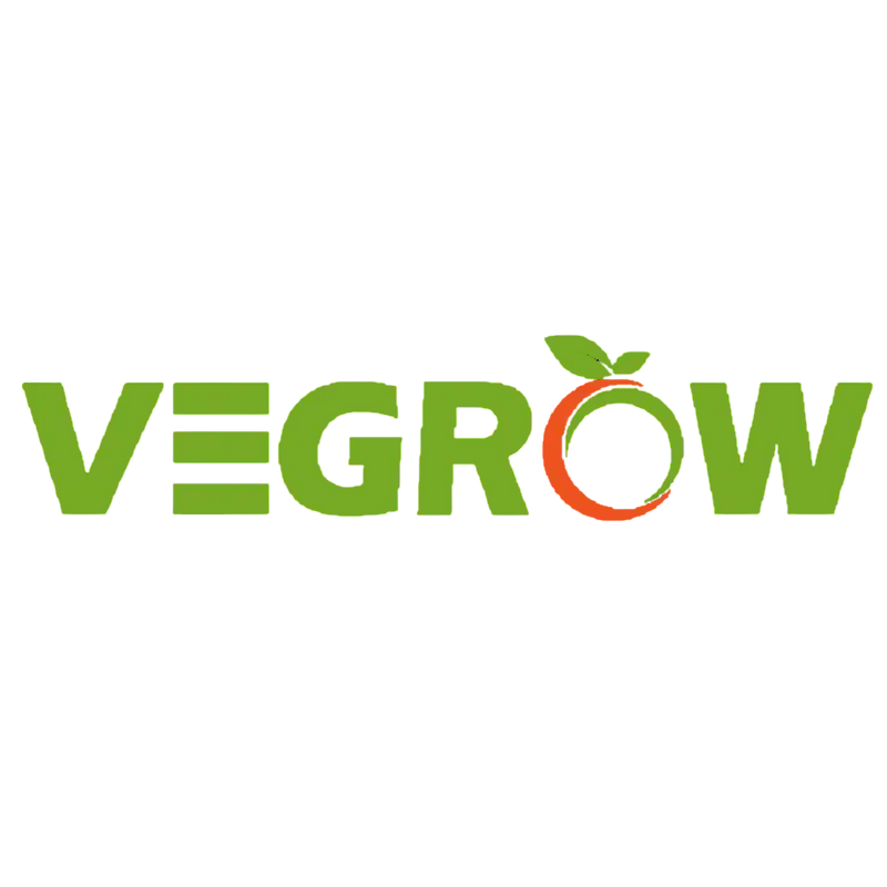 VentureSoul Partners